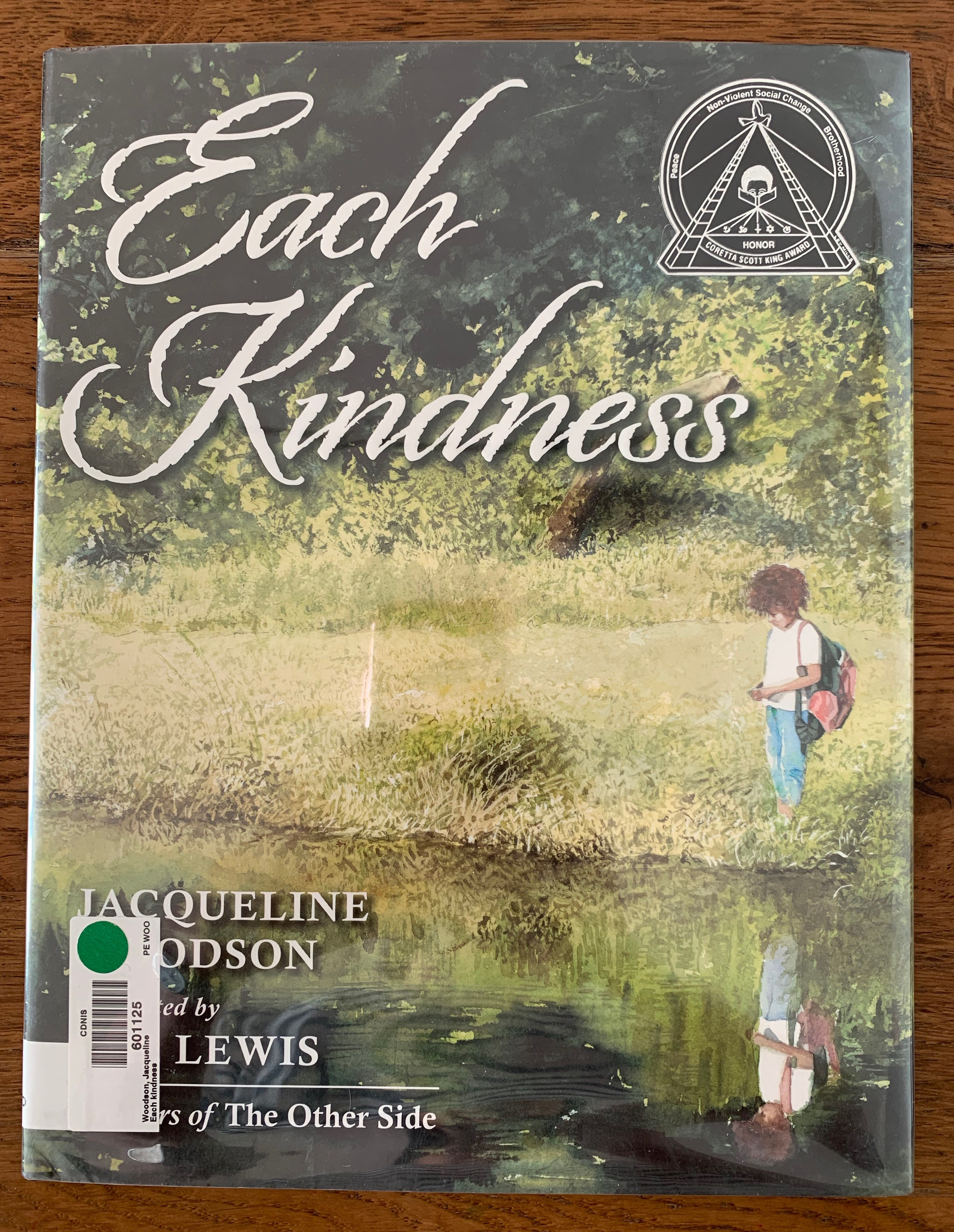Each Kindness by Jacqueline Woodson & illustrated by E. B. Lewis ...