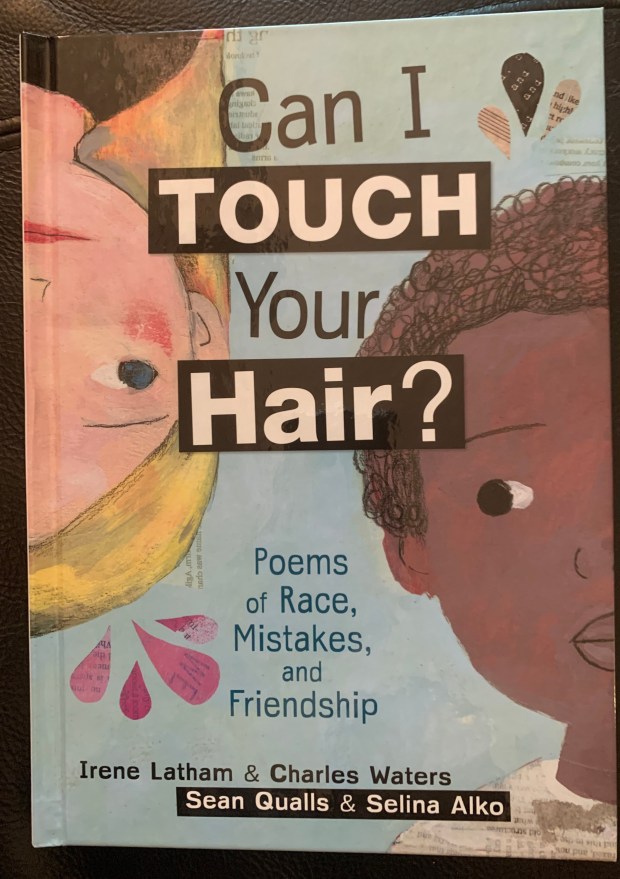 Can I Touch Your Hair? by Irene Latham & Charles Waters & illustrated ...