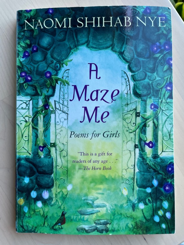 A Maze Me: Poems for Girls by Naomi Shihab Nye – Stories That Stay With Us