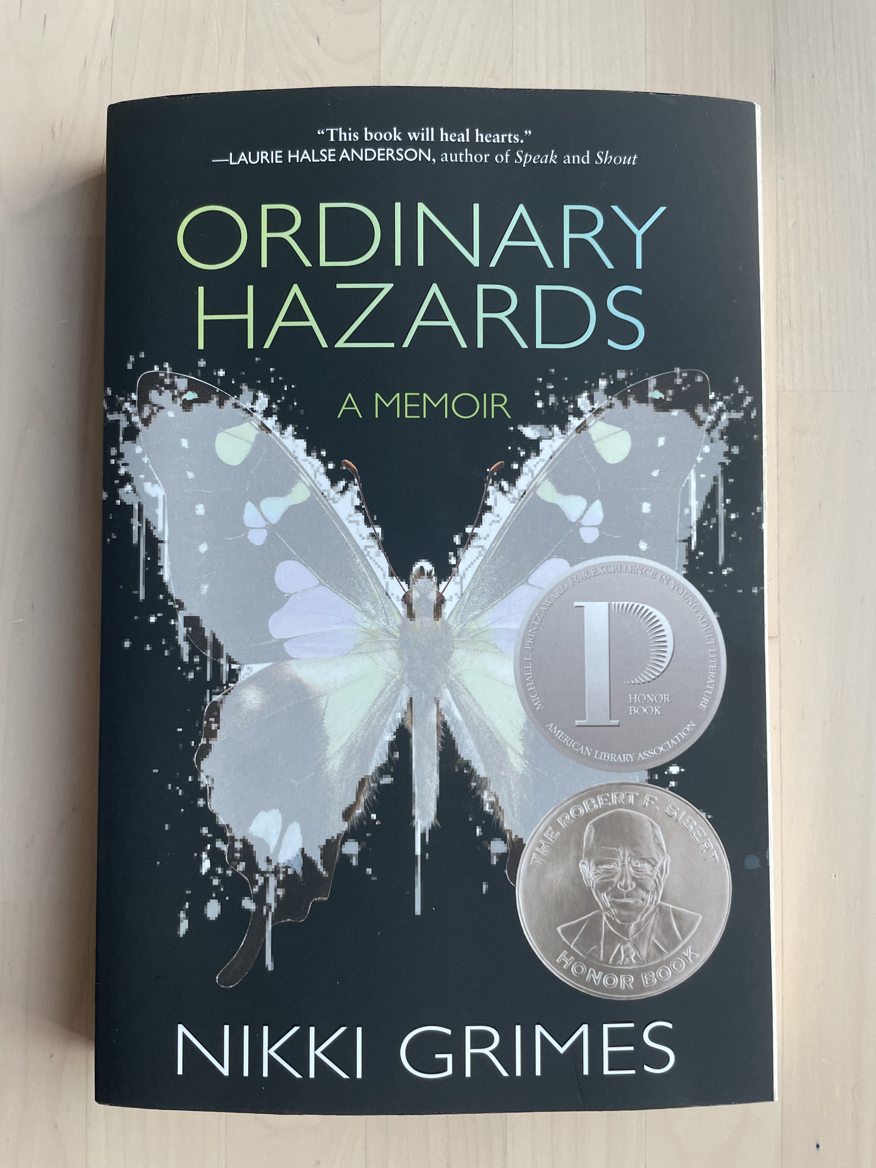 Flash Review: Ordinary Hazards by Nikki Grimes – Stories That Stay With Us
